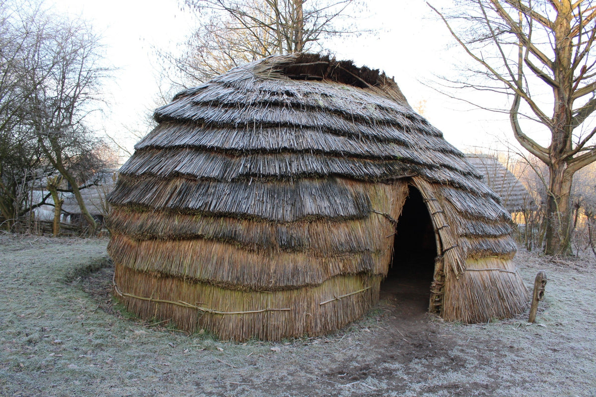 Why Were They Called Cavemen? – The Game Room Plus